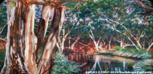 Australia Backdrops | Backdrops Fantastic Australia